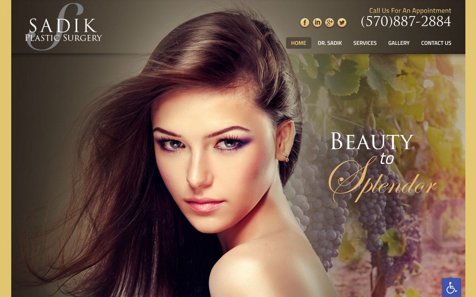 Best Cosmetic Surgery And Plastic Surgeon Websites